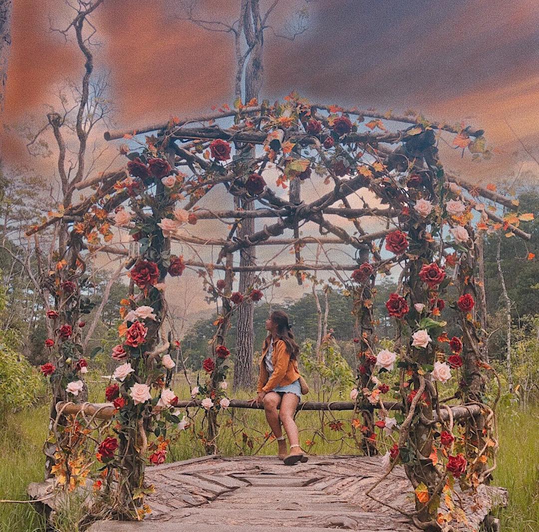 Secret Garden Đà Lạt - Phim trường sống ảo cực hot tại thành phố hoa