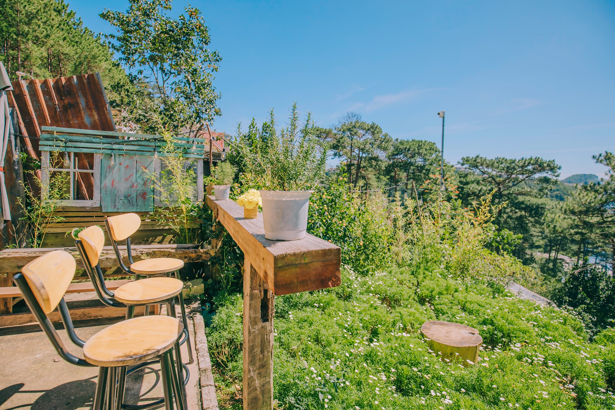 20 quán cafe đẹp ở Đà Lạt view núi đồi, ngắm cảnh đêm ấn tượng